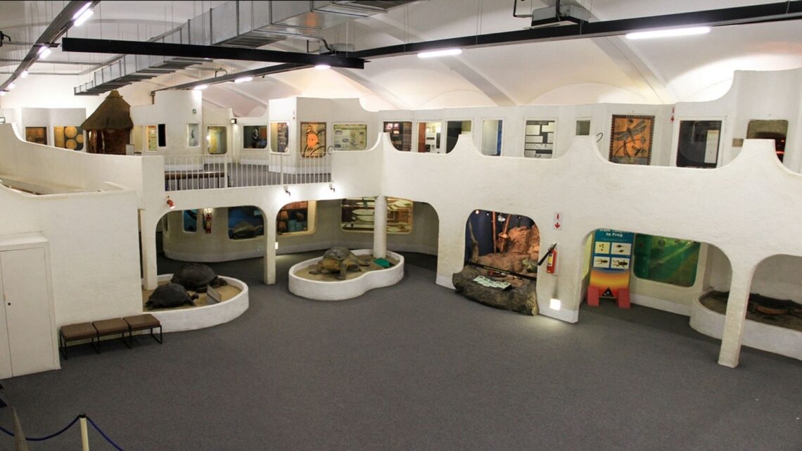History hub: Three fantastic museums you MUST visit in Pretoria - I ...