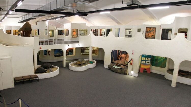 History hub: Three fantastic museums you MUST visit in Pretoria - I ...