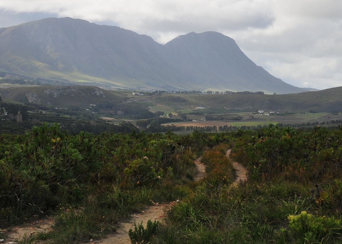 What to do in Hermanus - I Love South Africa