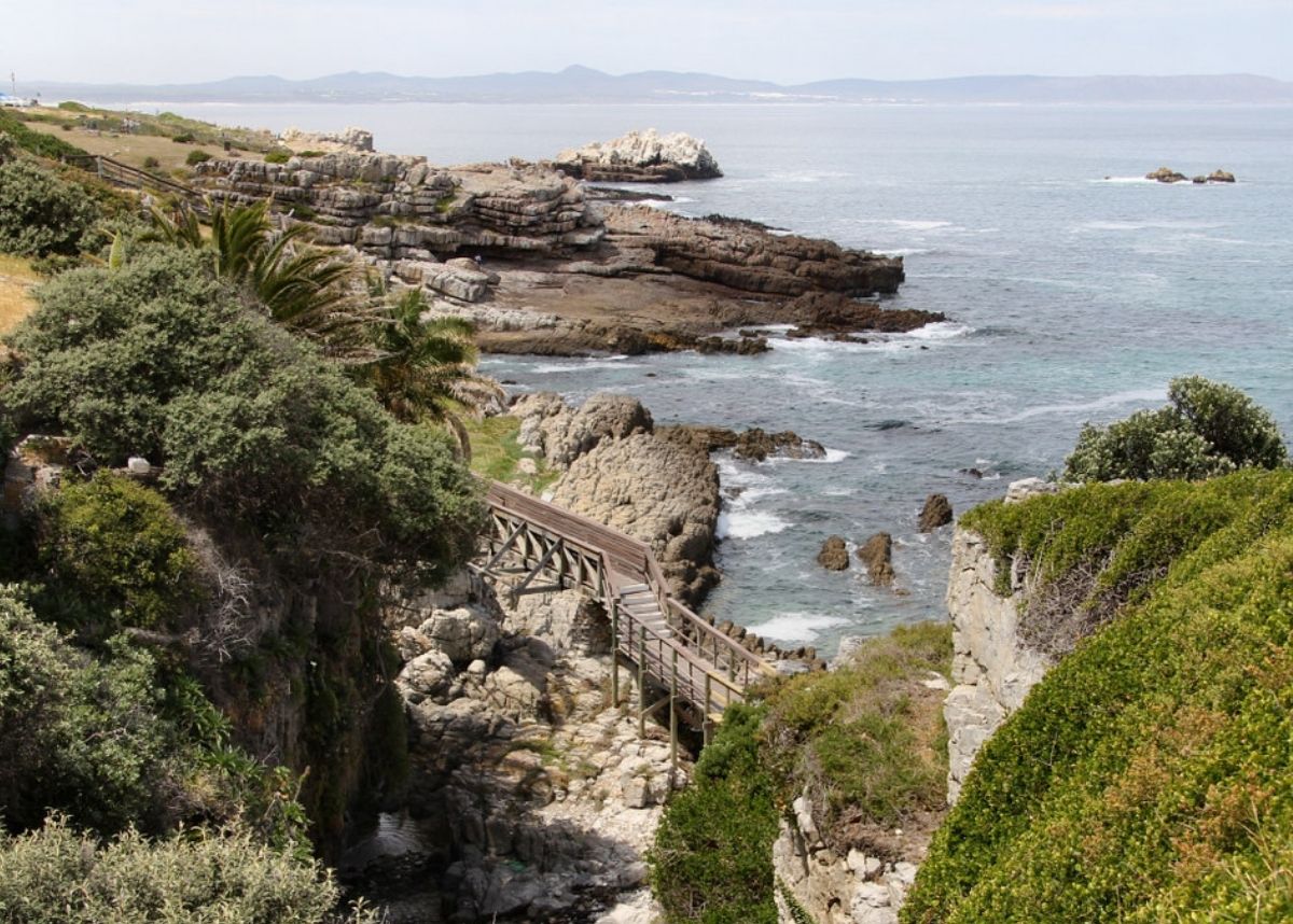 What to do in Hermanus - I Love South Africa