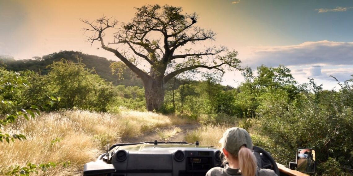 What to do in Volksrust - I Love South Africa