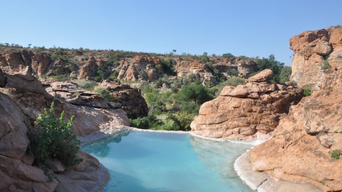 Safari dreams: Three national parks you MUST visit in Limpopo - I Love ...