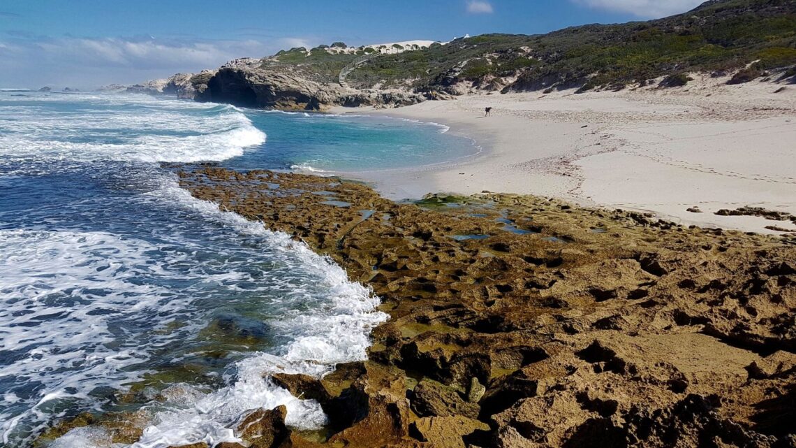 These Western Cape nature reserves are free to visit this week... - I ...