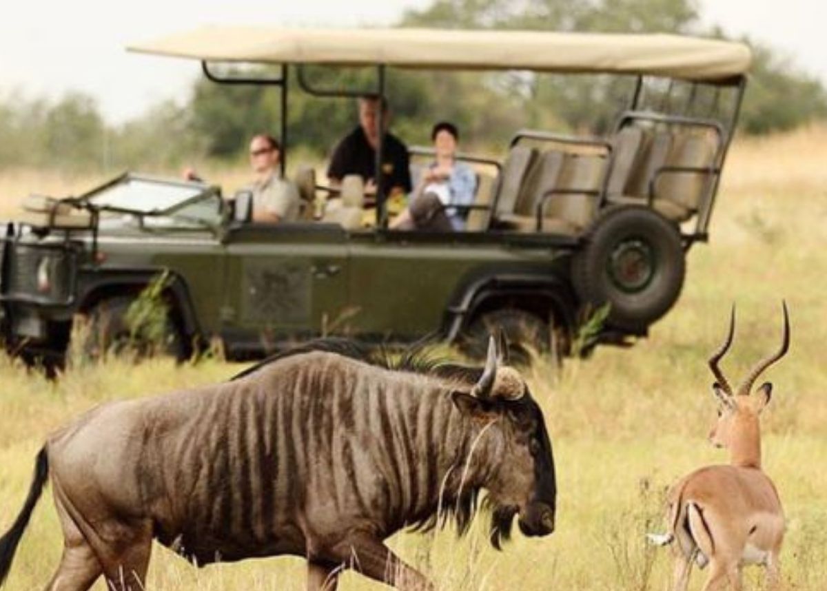10 Kruger Facts 95% of Tourists didn’t know - I Love South Africa