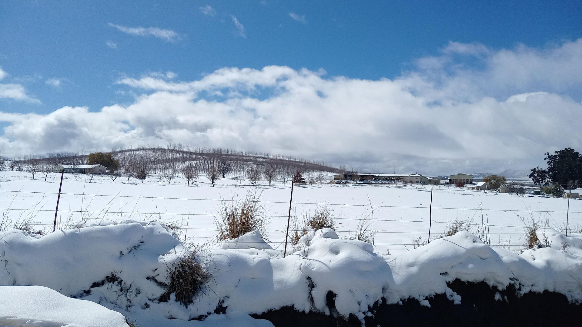 Seven snowy locations to see snow in SA this winter - I Love South Africa