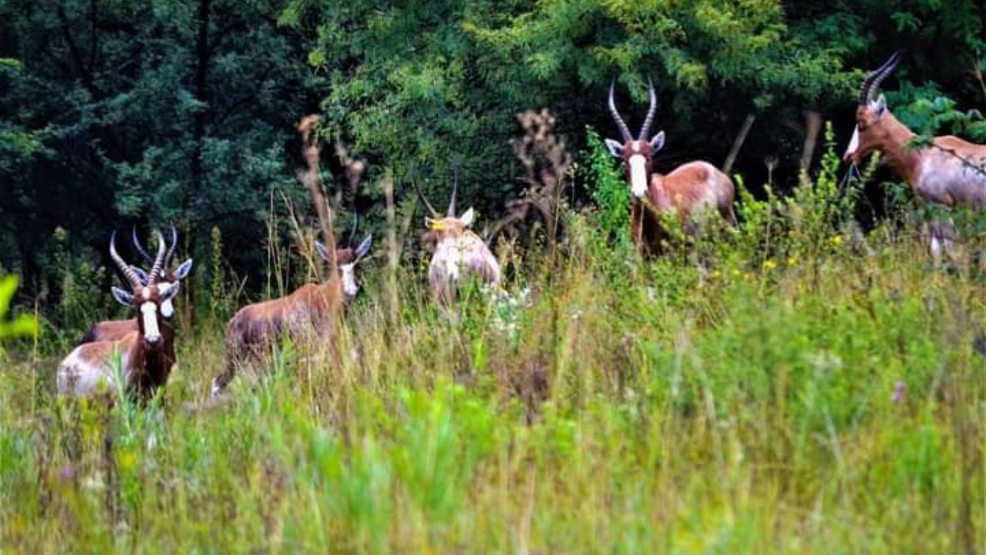 Trek and Trail: Magaliesburg hiking trails to check out - I Love South ...