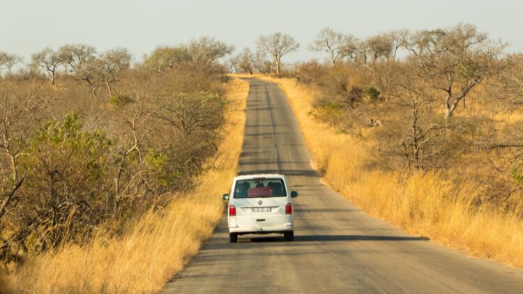 Free Entry: SANParks to launch annual National Parks Week - I Love ...