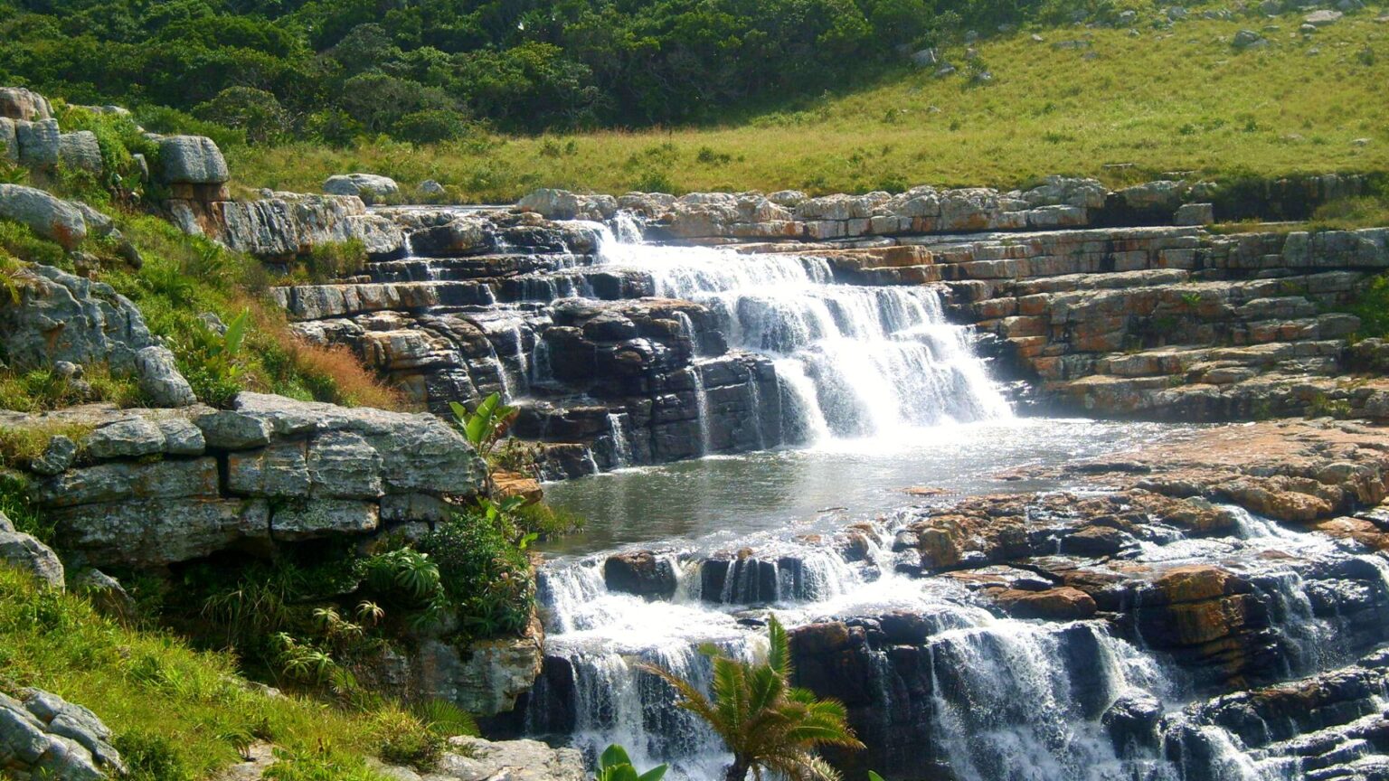 These Eastern Cape nature reserves are free to visit in October - I ...