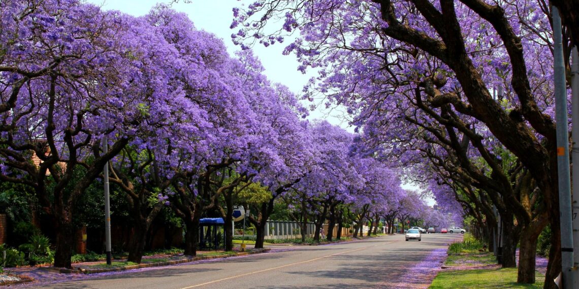 Pretty Parys: Five MUST-DO things in this Free State town - I Love ...
