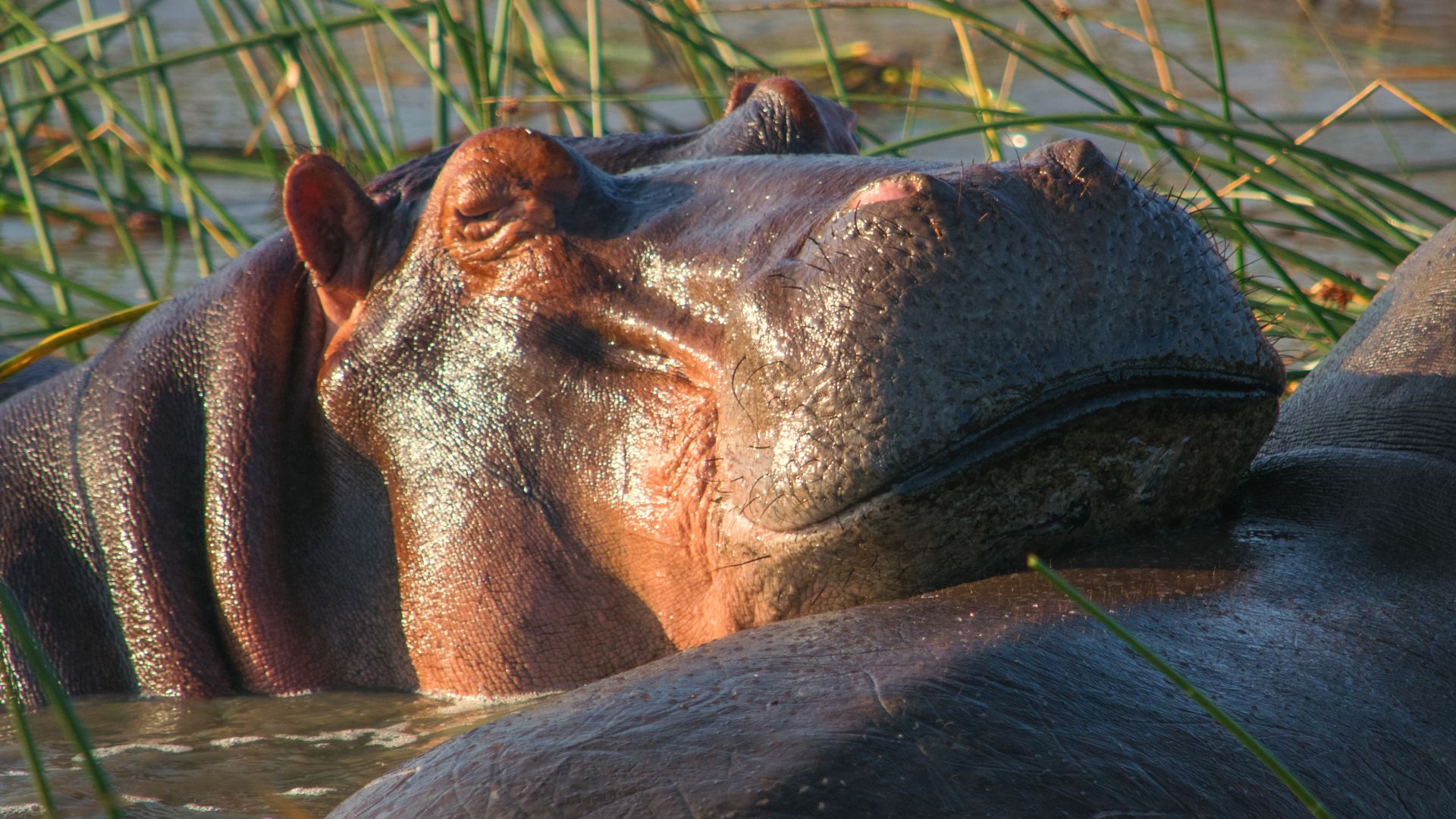 Three MUST-do activities at beautiful iSimangaliso Wetland Park