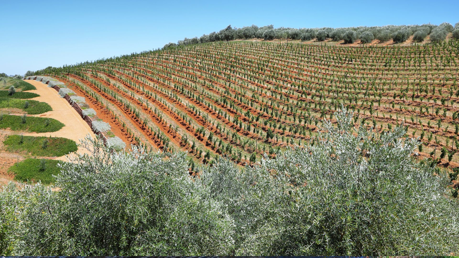 Three incredible wineries to visit in stunning Stellenbosch - I Love ...