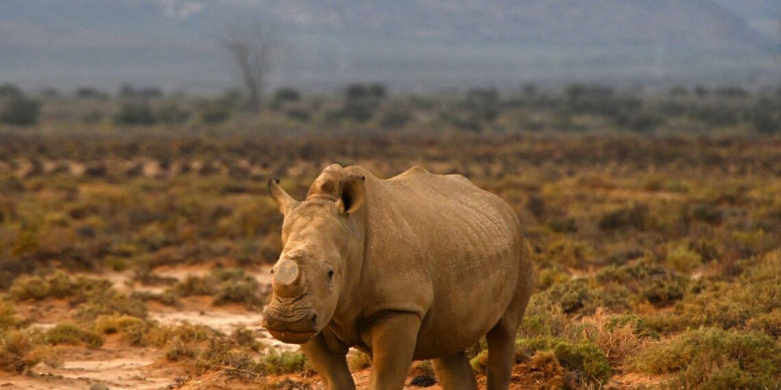 SANParks FREE Parks Week: Here's where and when to visit - I Love South ...