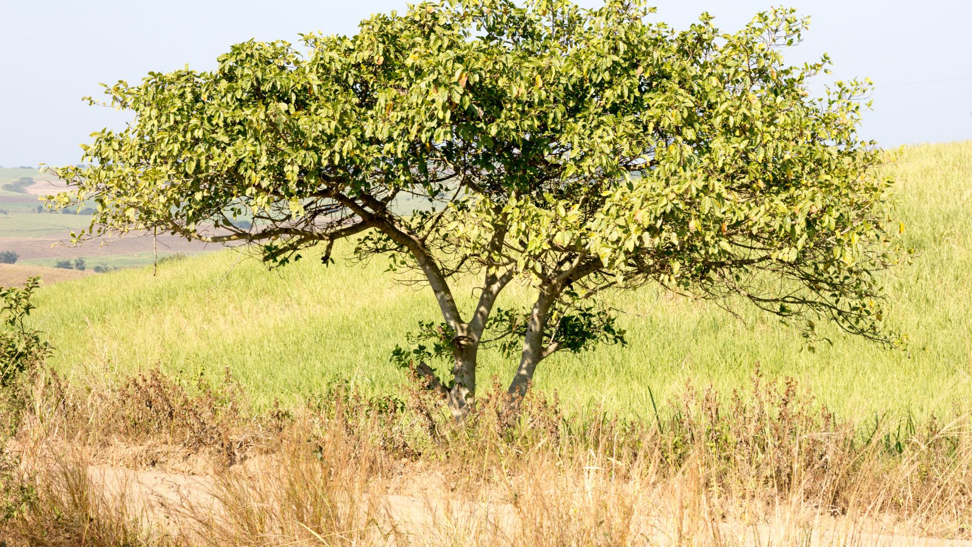 Three things to do in beautiful Ballito this weekend - I Love South Africa