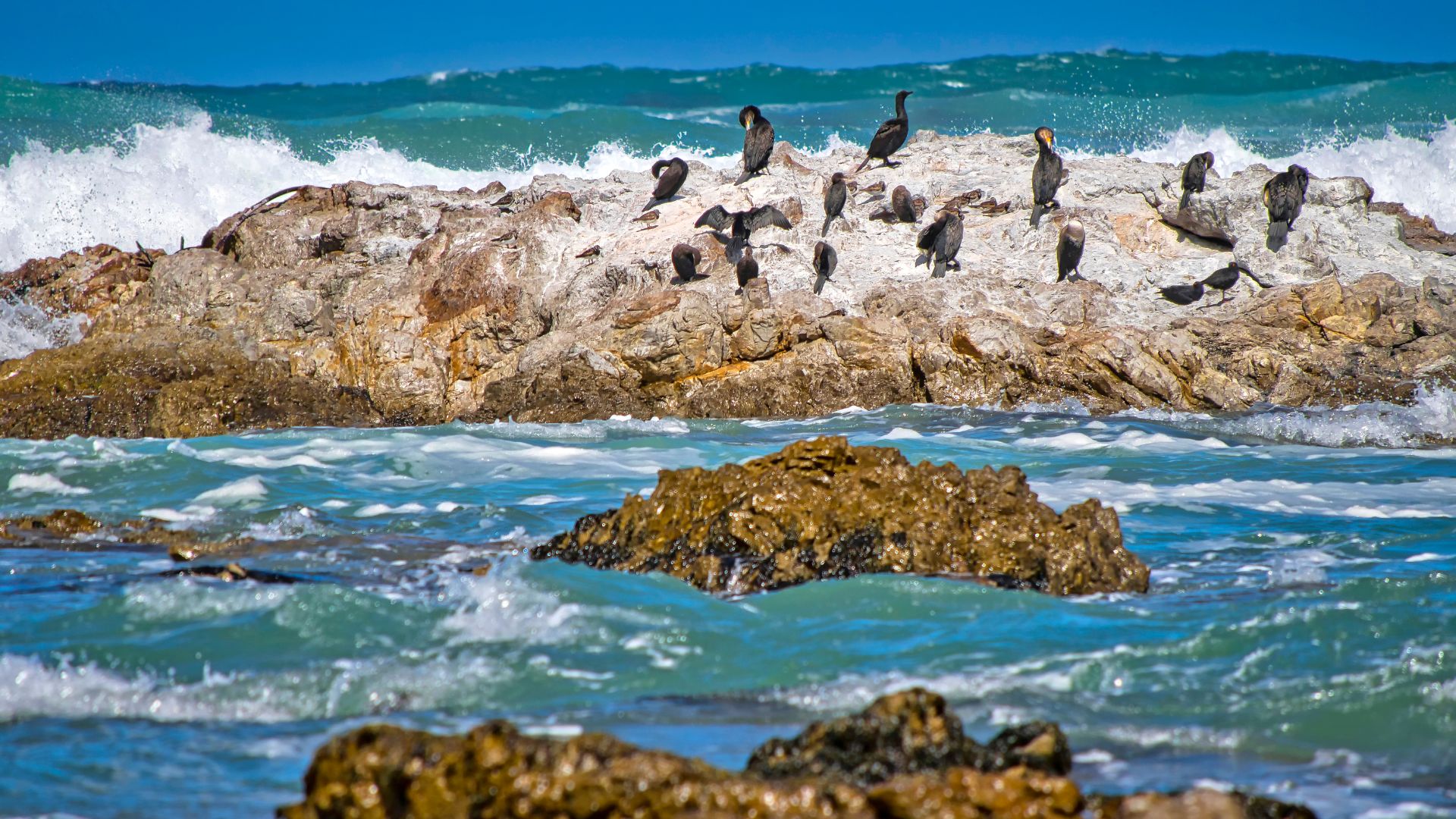 Free entry to CapeNature nature reserves this September - I Love South ...