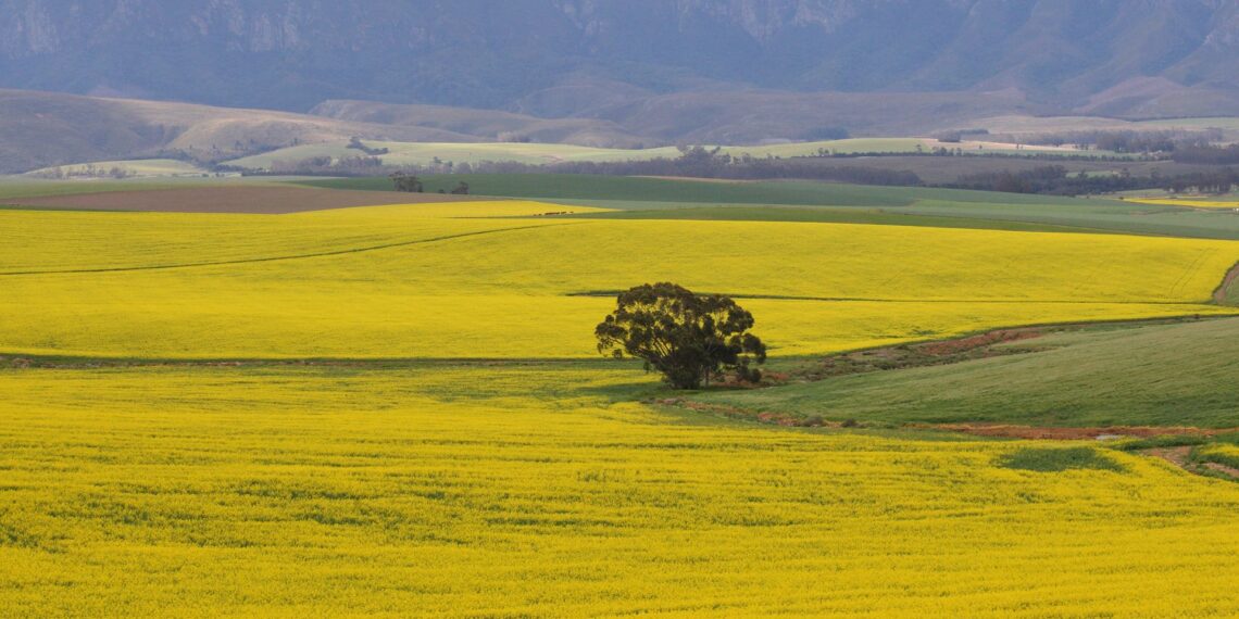 Pretty Parys: Five MUST-DO things in this Free State town - I Love ...