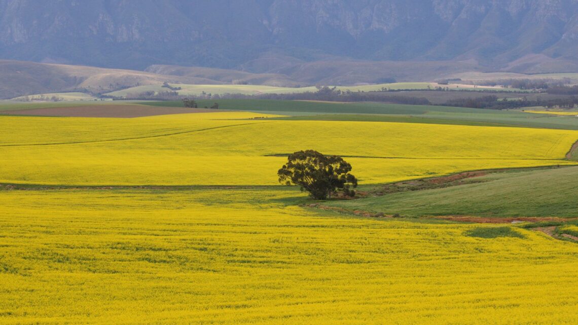 Top three things to do in Caledon, Western Cape - I Love South Africa